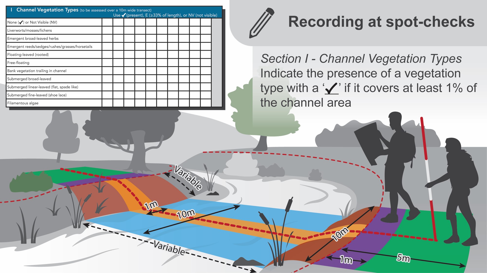 Section I: Channel Vegetation Types