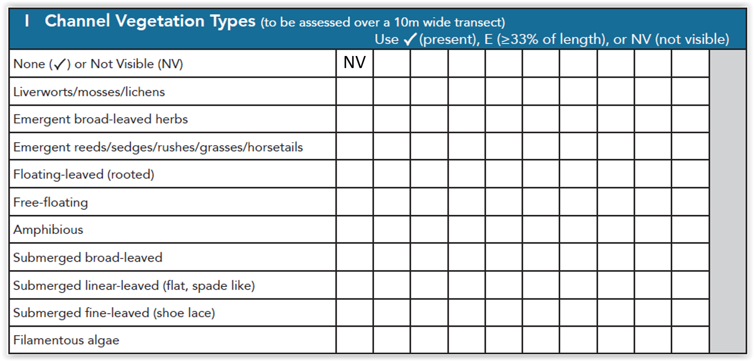 Examples recording Channel Vegetation