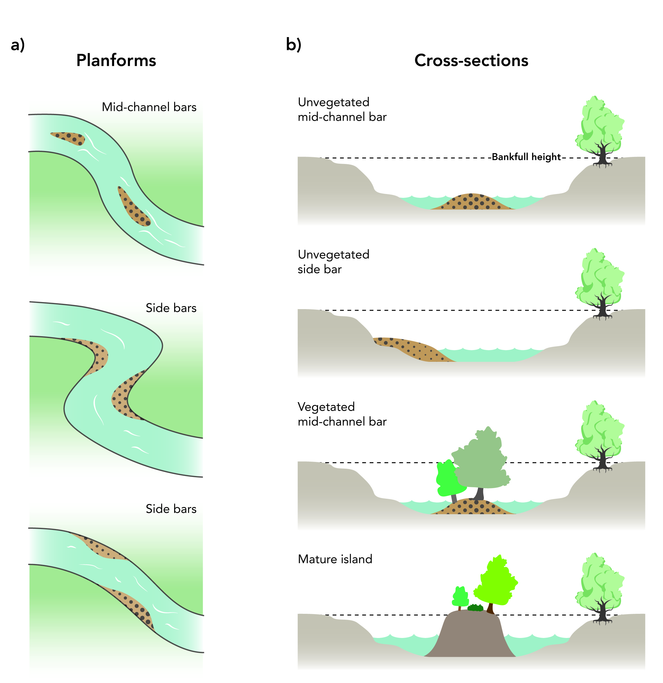 Marginal & Bank Features