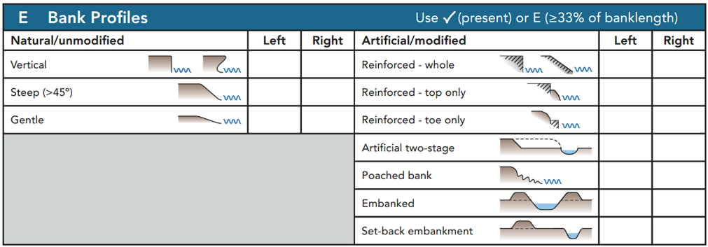 Section E: Bank Profiles