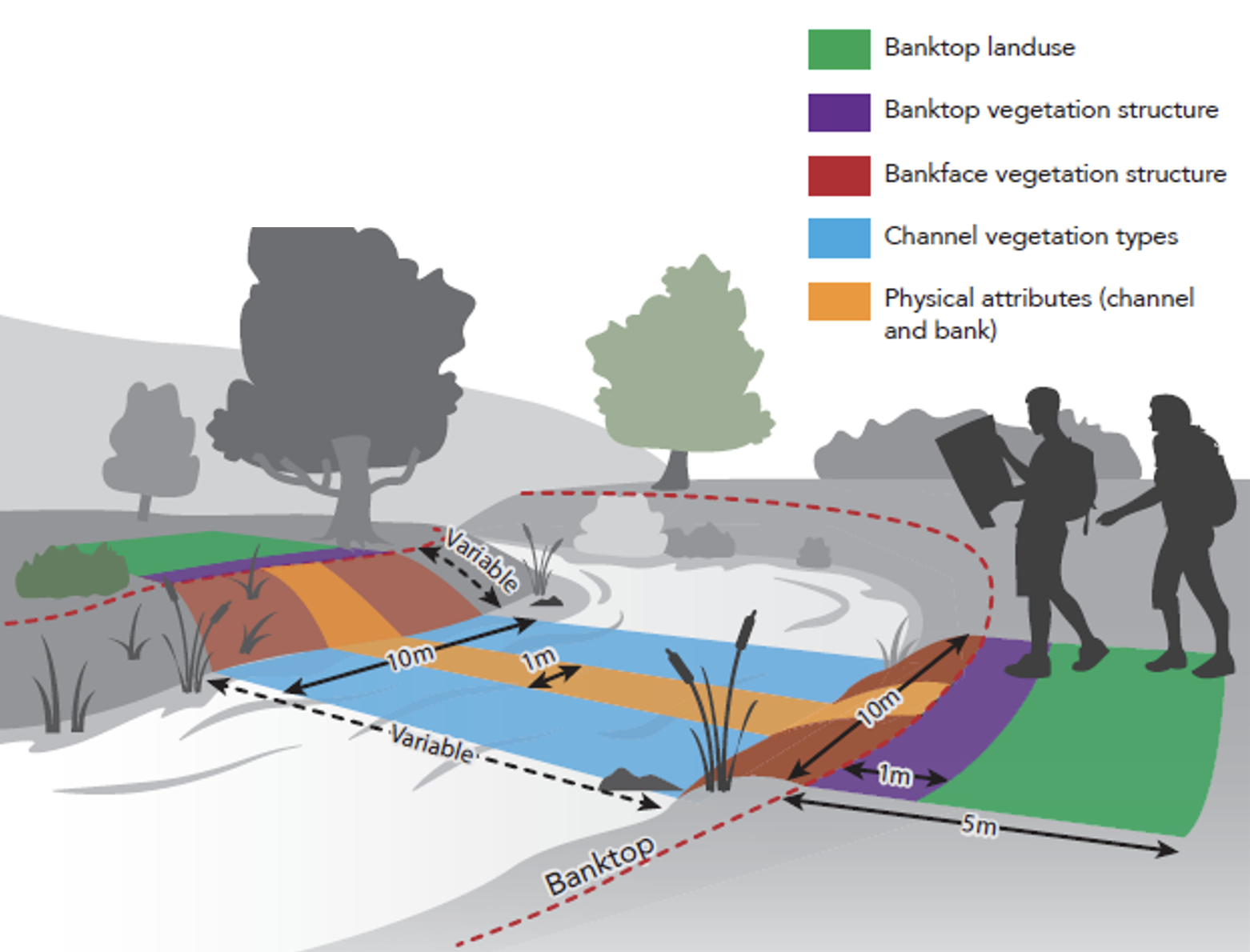 Section H: Banktop Land Use & Vegetation Structure