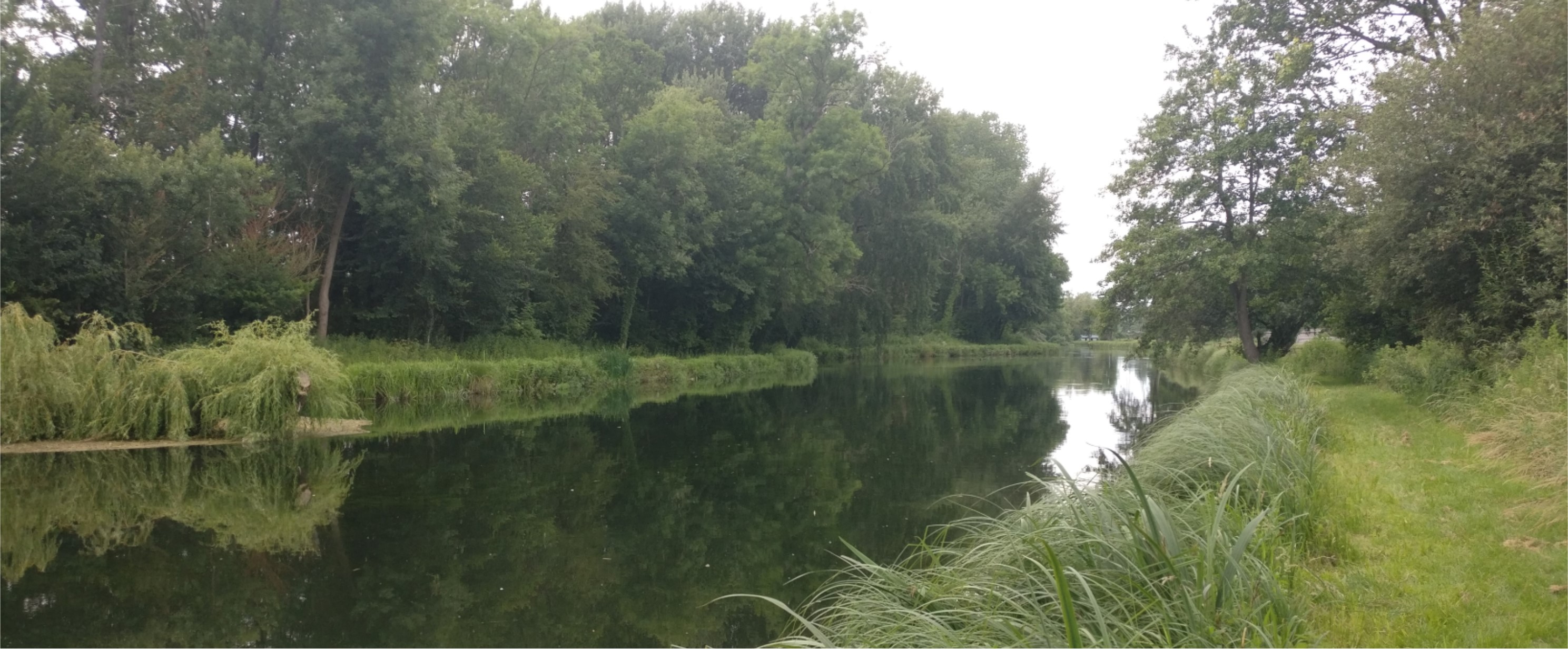 Natural Channel Design For River Restoration - Design Talk