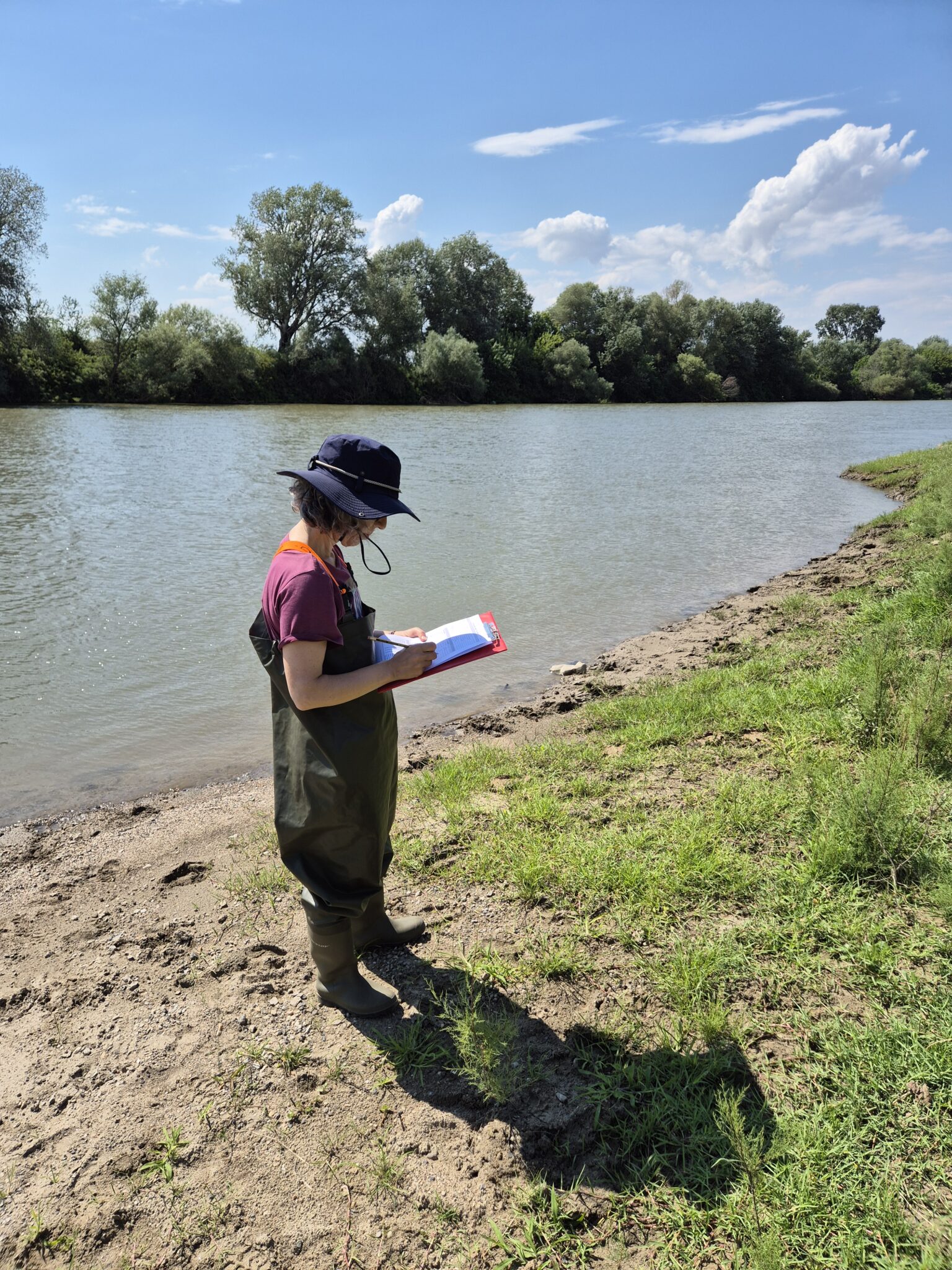 River Habitat Survey